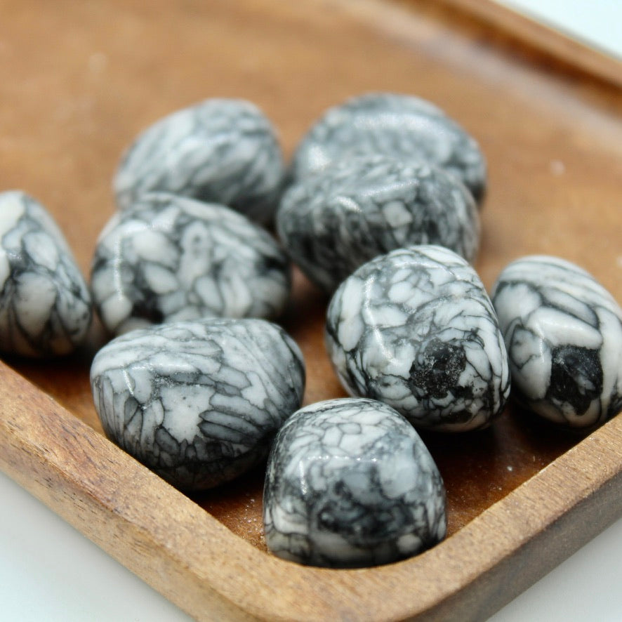 Mysterious Black Pinolith Crystal | Neuro Touch